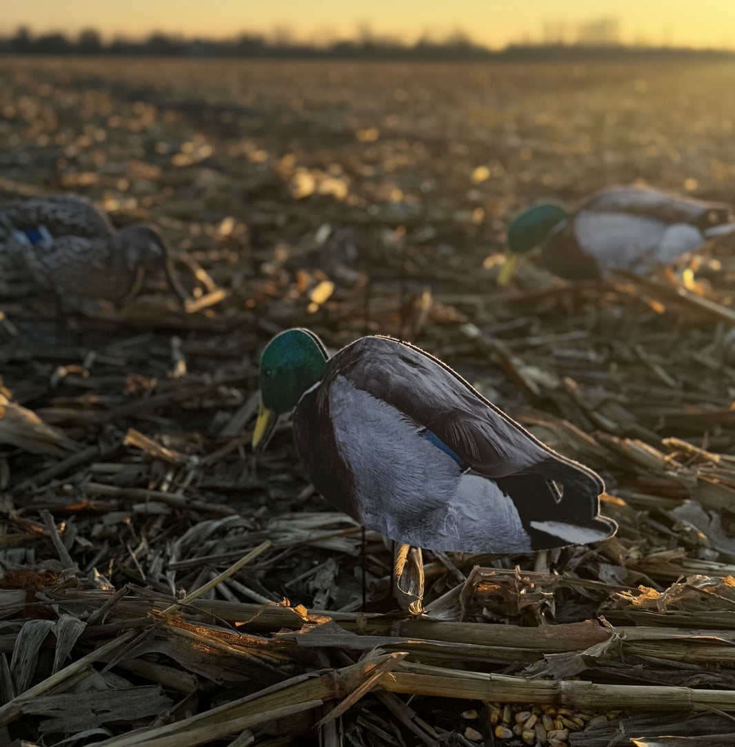 Decoys – Duck King Decoys